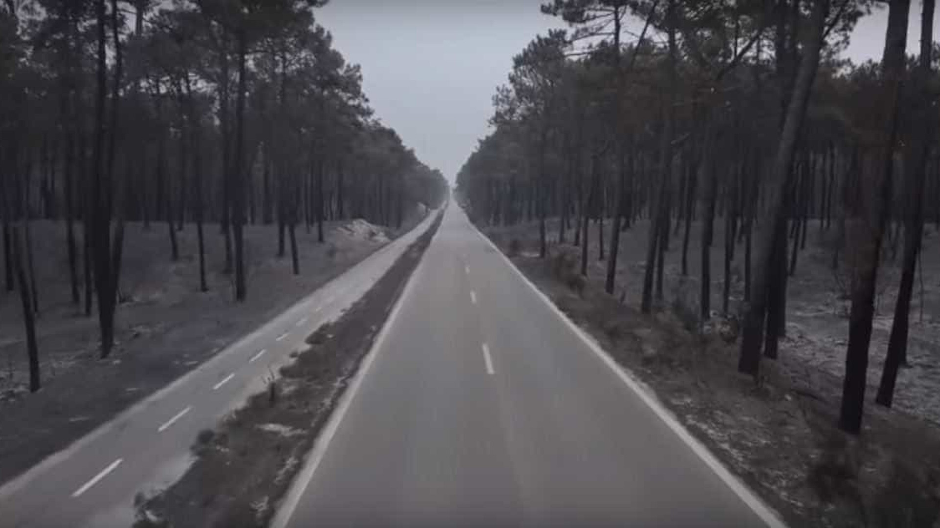 Pinhal de Leiria ardeu. As imagens de uma tragédia avassaladora